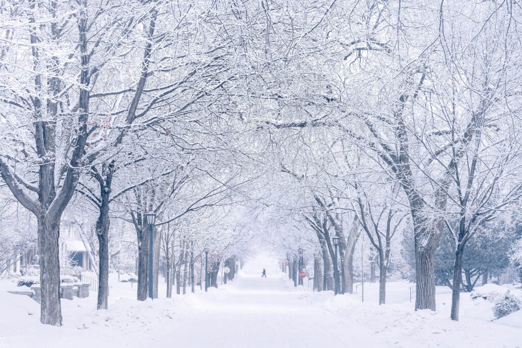 Reset 2021 » Eric Mueller Photography