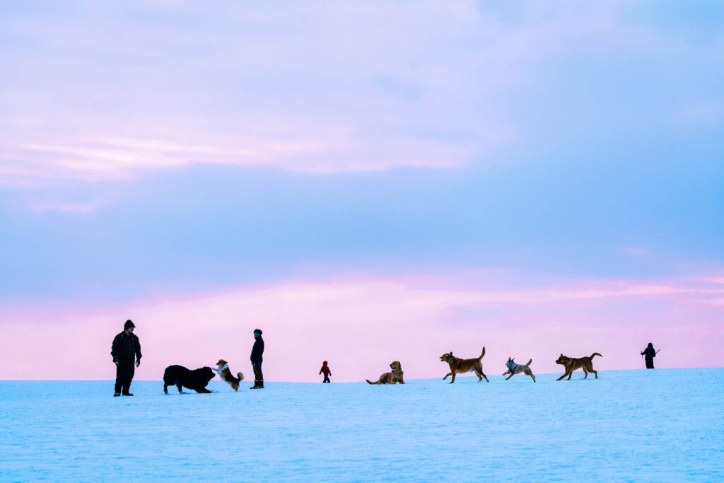 Reset 2021 » Eric Mueller Photography